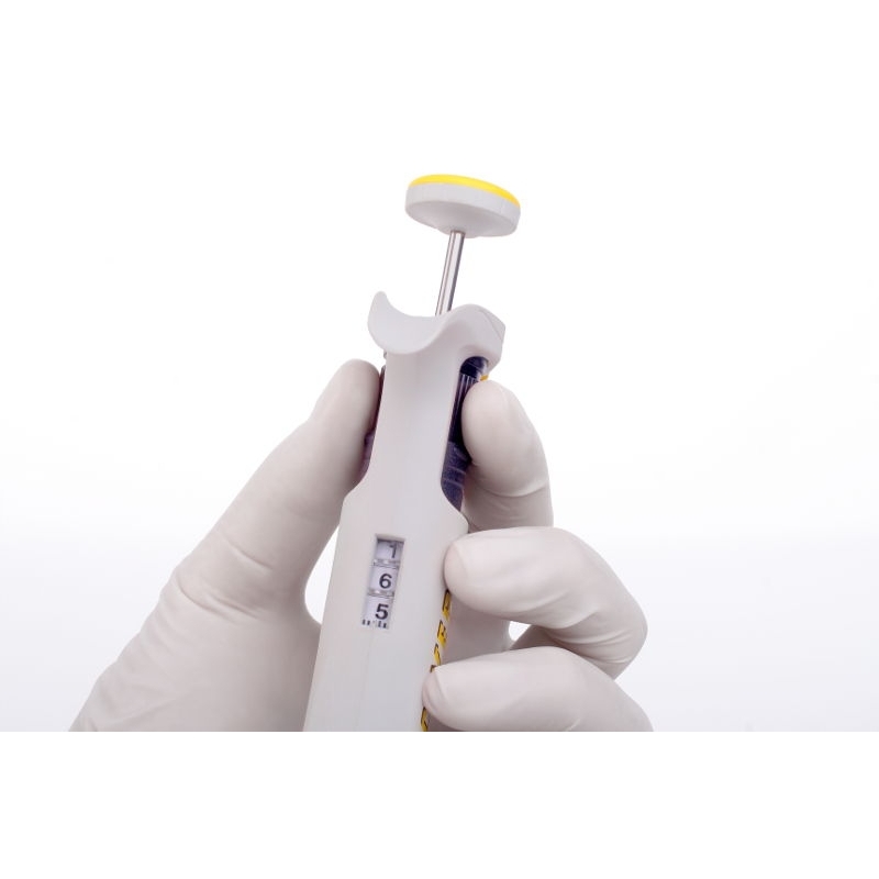 DISCOVERY Comfort Starter 4-Pack