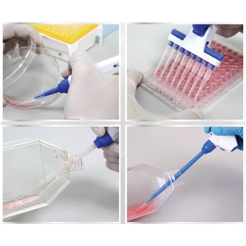 BioDolphin-LB Suction Kit