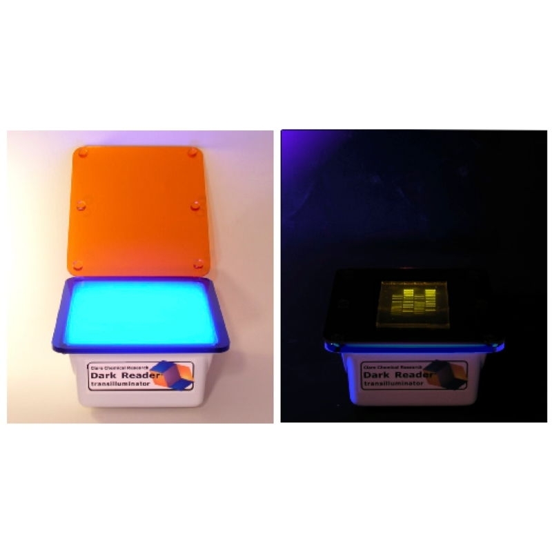 Dark Reader Blue Light Transilluminator