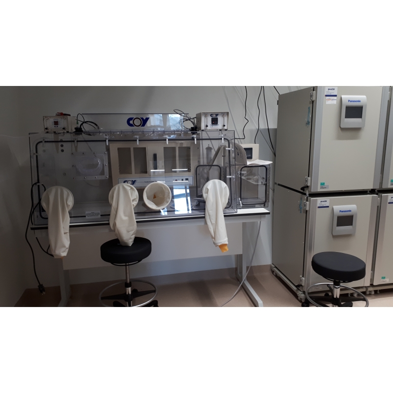 O2 Control InVitro Glove Box
